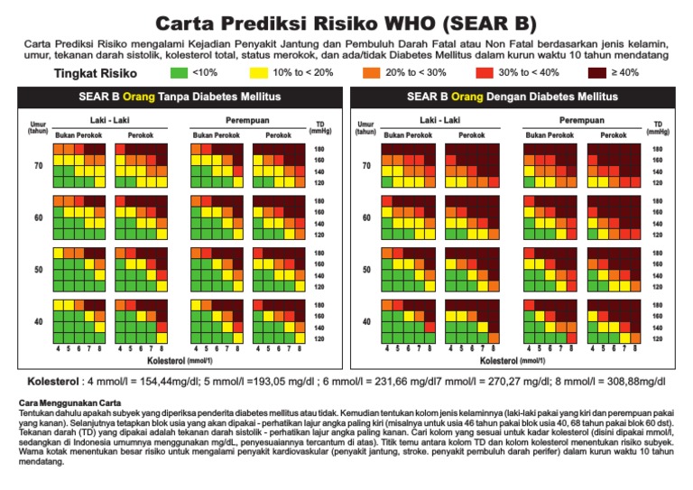 Carta Prediksi Risiko WHO (SEAR B) | PDF