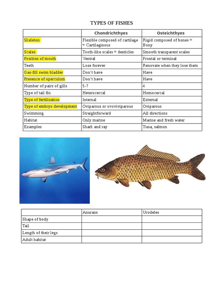 Type of Fish | PDF