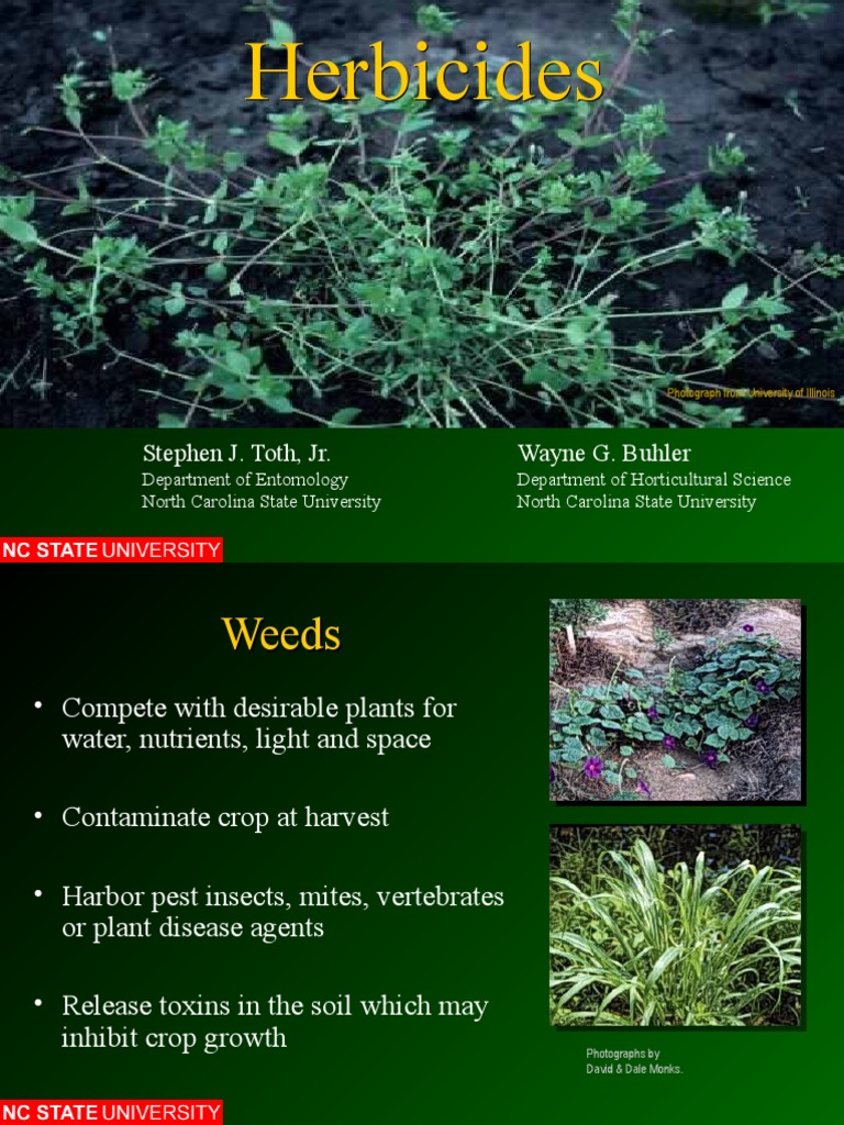 Herbicides.ppt | Herbicide | Weed