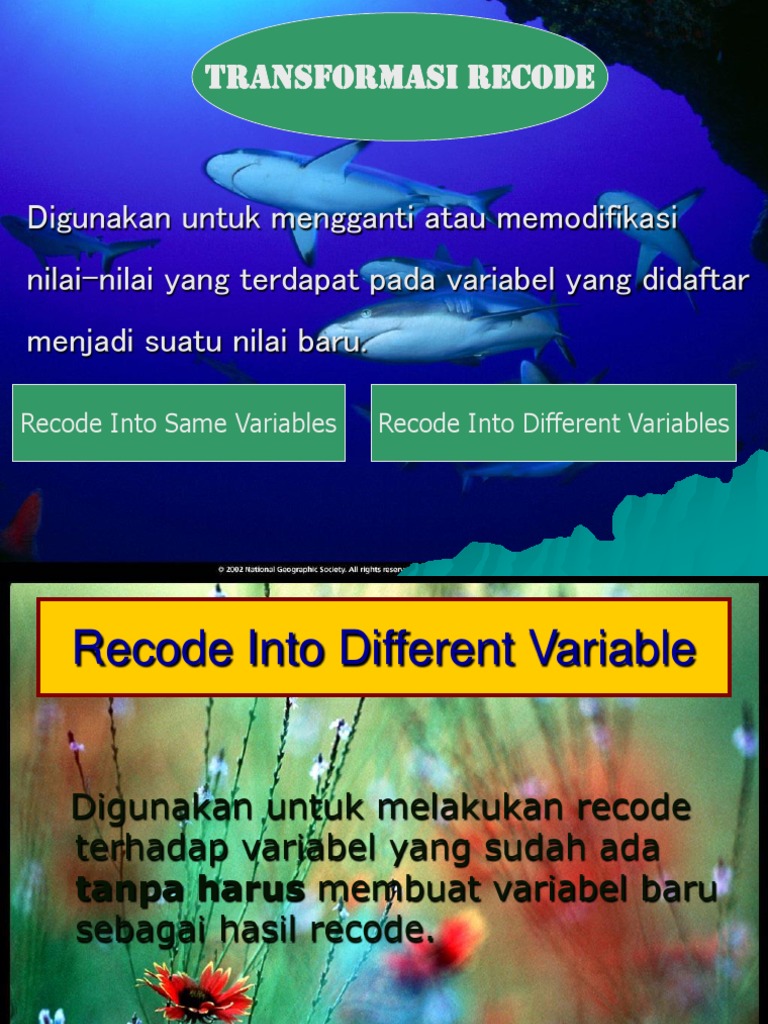 Transformasi Recode | PDF