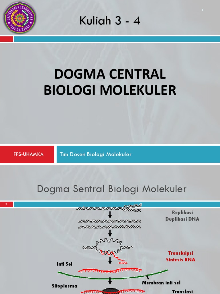 Dogma Sentral Biologi Molekuler | PDF | Dna Replication | Macromolecules