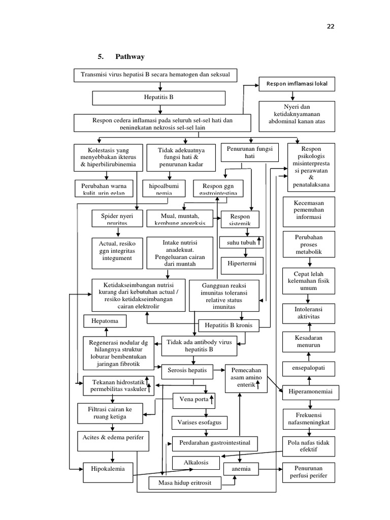 Pathway HEPATITIS | PDF