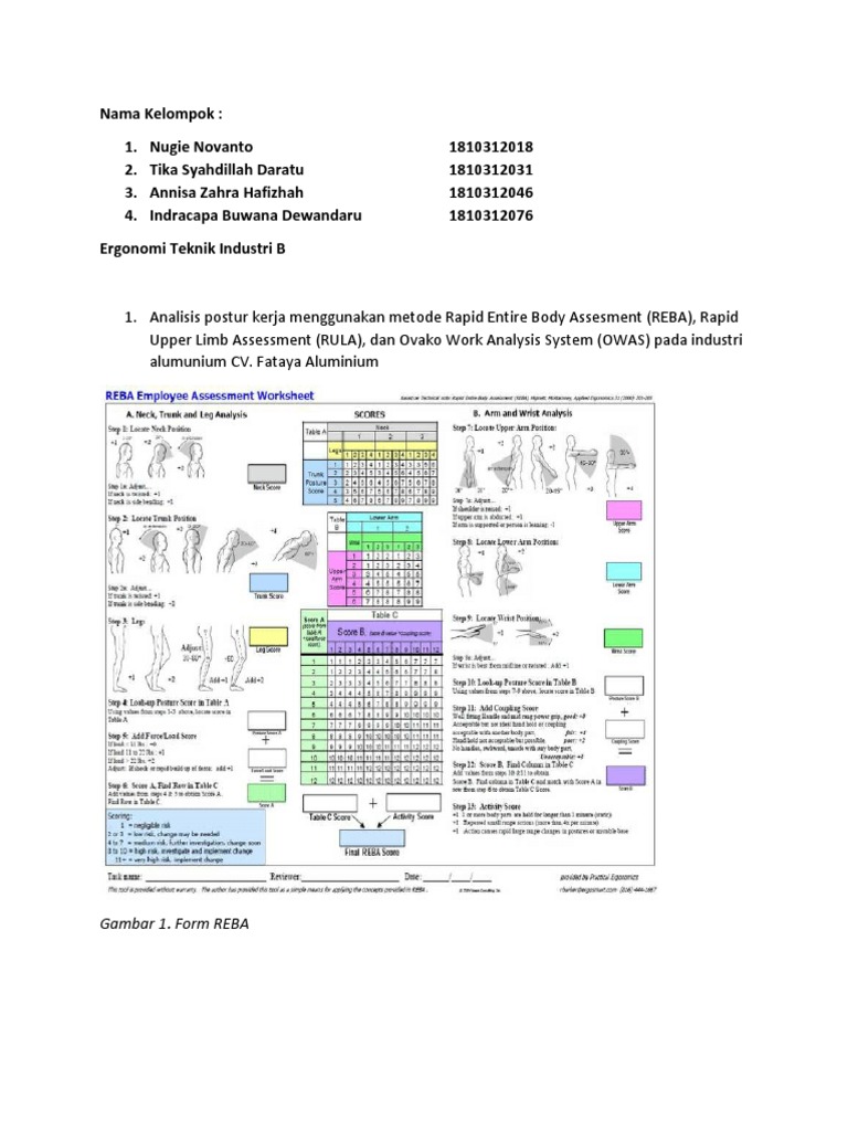 Rula Reba Owas | PDF