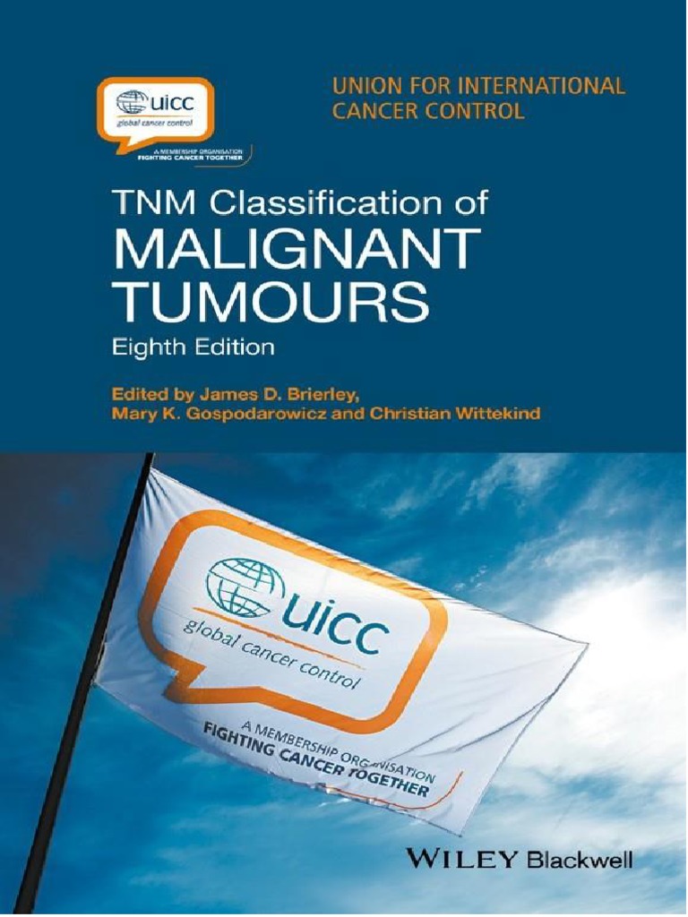 TNM Classification of Malignant Tumours 8th Edition Convertido - En.es ...