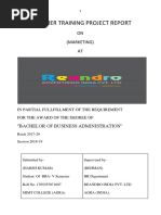 Business Plan Template | PDF | Engines | Diesel Fuel