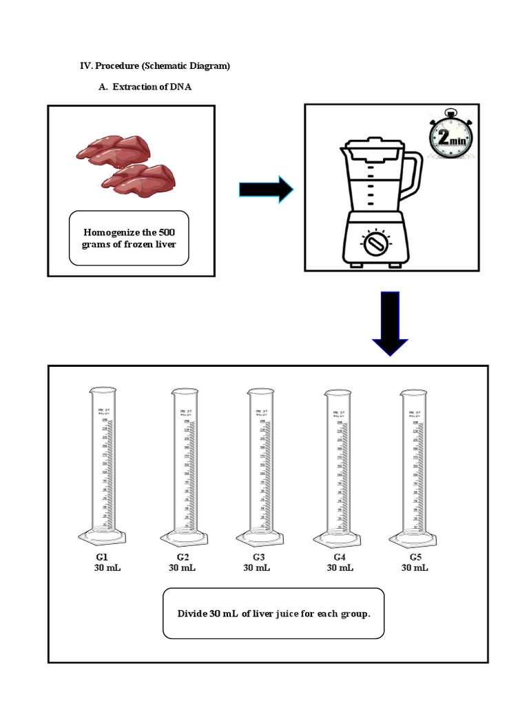 Lab Schematic 8 | PDF | Precipitation (Chemistry) | Solution