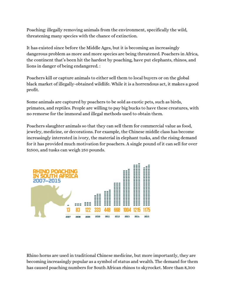 Poaching Project | PDF | Poaching | Crime & Violence
