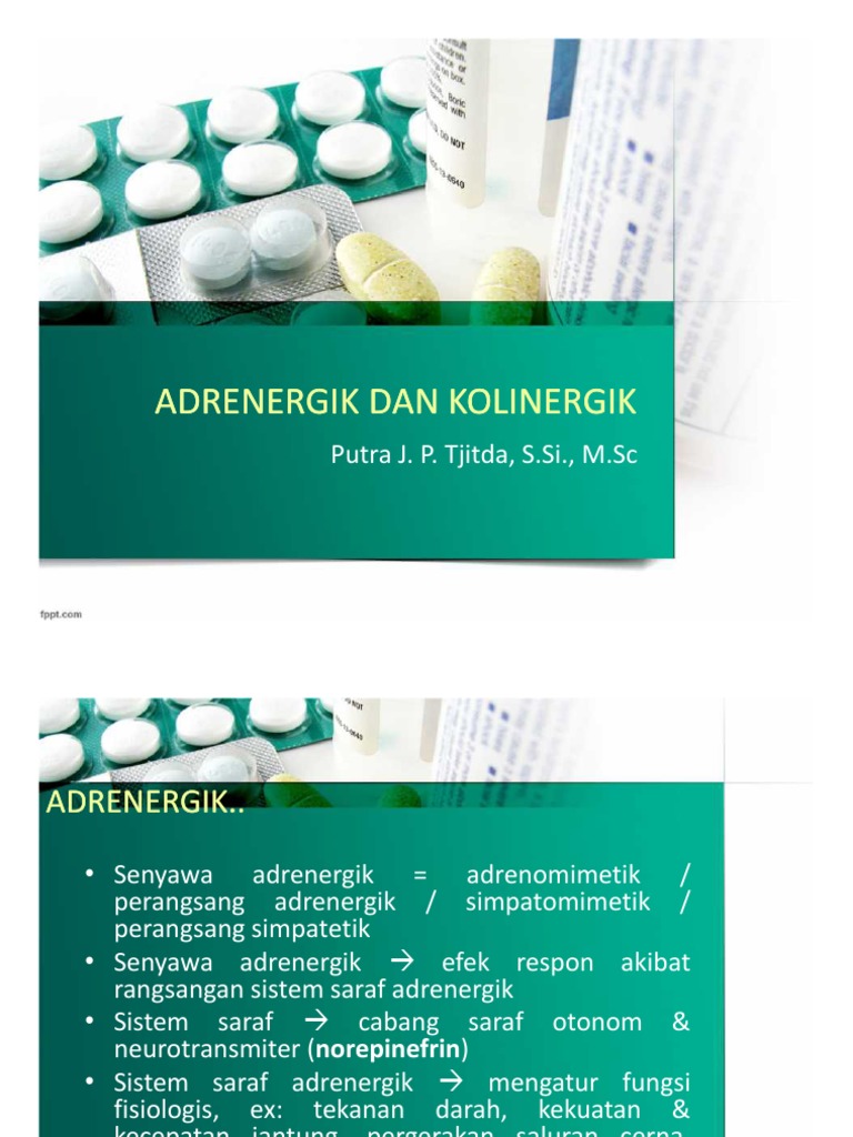 Obat Kolinergik dan Adrenergik | PDF