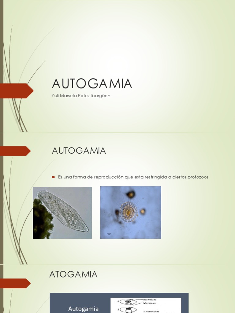 Autogamia | PDF