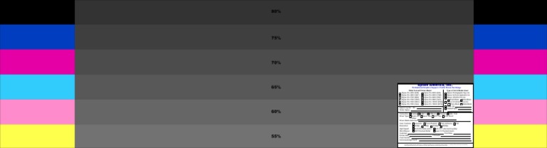 Epson Printer Stress Test Image | PDF | Ink | Printer (Computing)