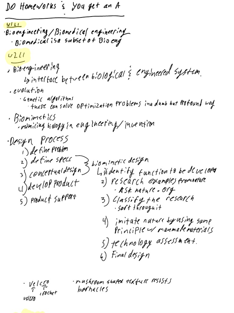 Lecture Notes Bmed Pdf Pdf Biomedical Engineering Materials