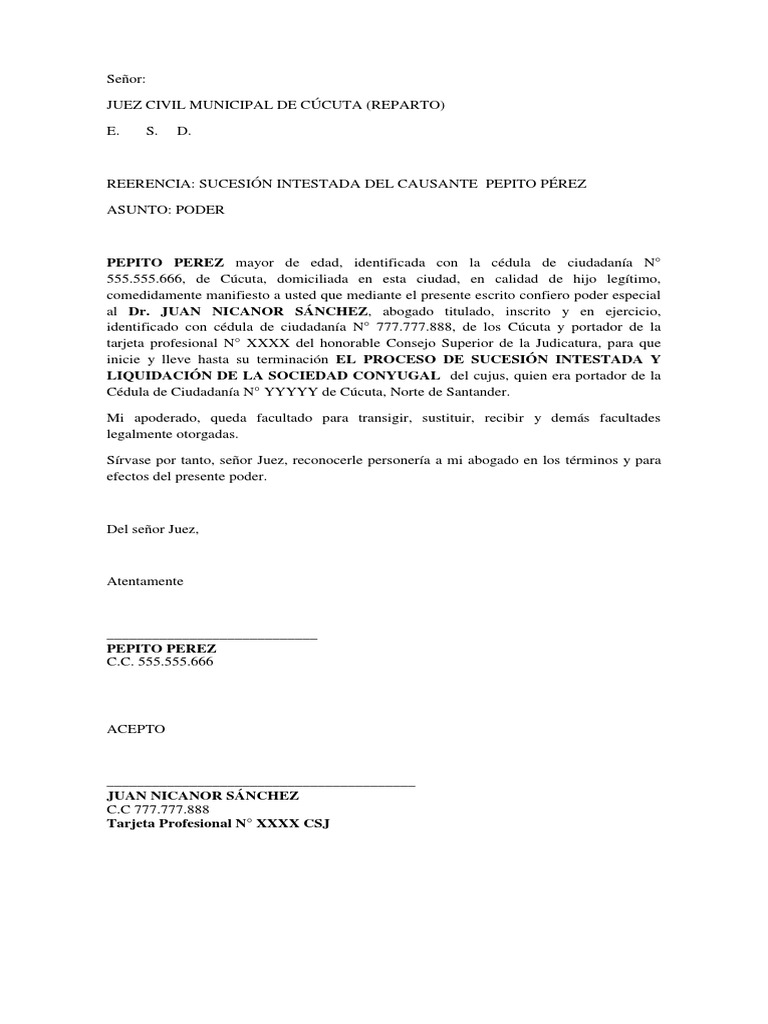 Formato Modelo de Poder Personal A Un Abogado | PDF