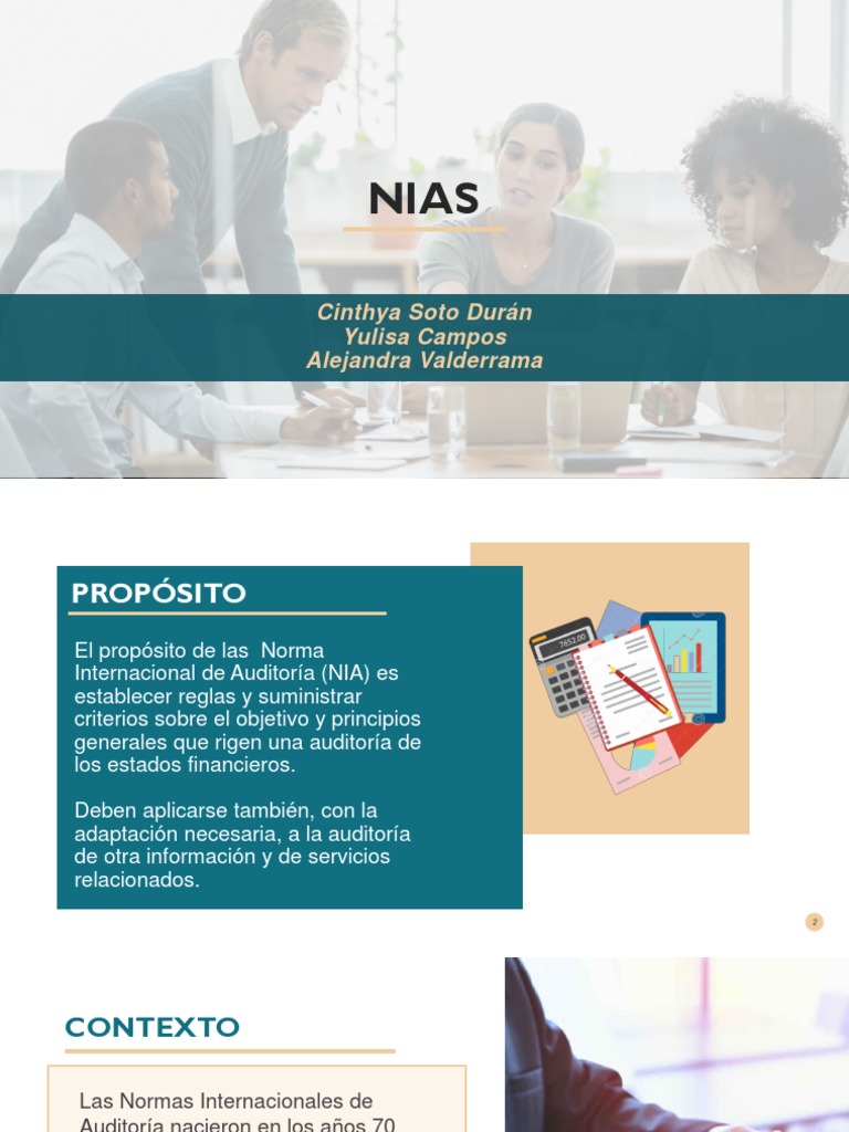 Nias | PDF | Auditoría | normas internacionales de INFORMACION FINANCIERA