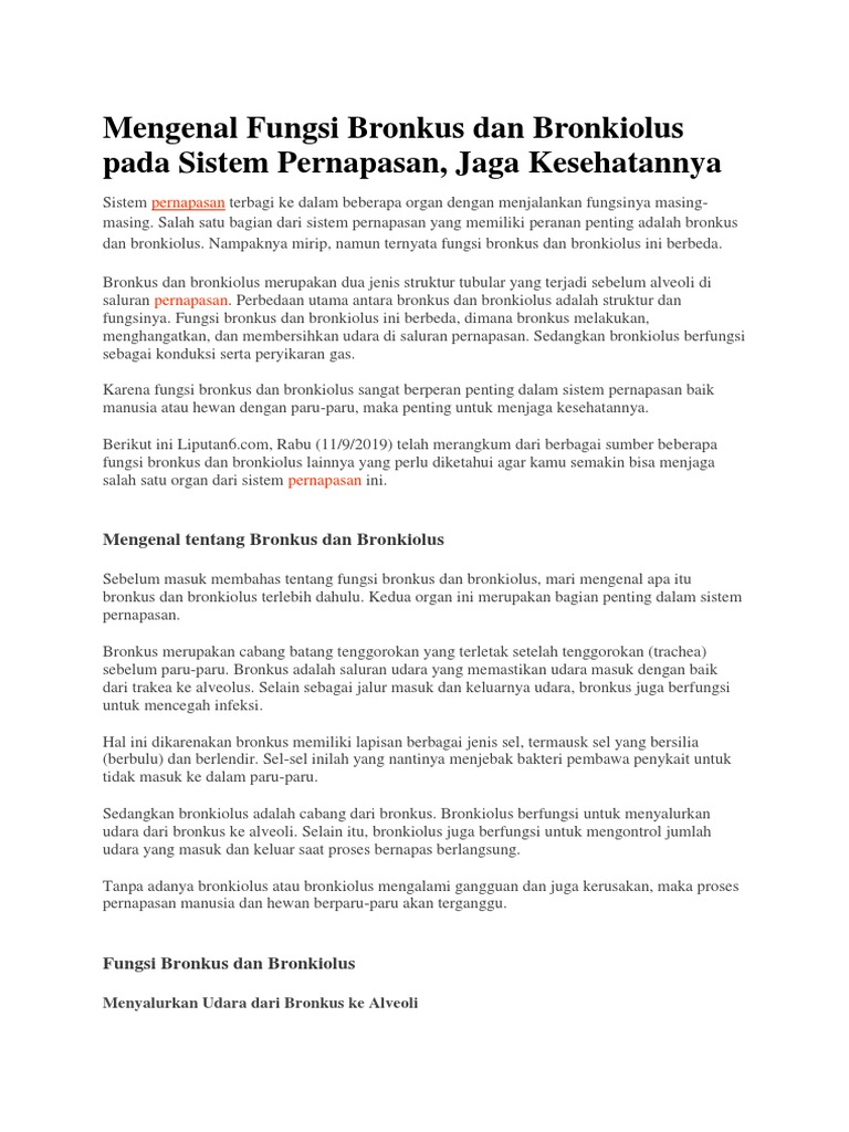Mengenal Fungsi Bronkus Dan Bronkiolus Pada Sistem Pernapasan | PDF