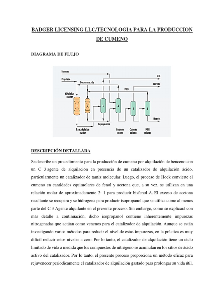 Badger Licensing LLC | PDF | Benceno | Hidrogenación