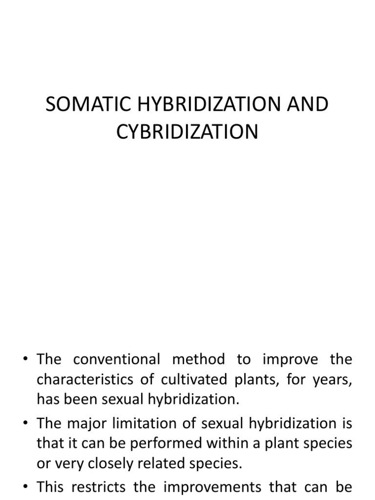 Somatic Hybridization | PDF | Hybrid (Biology) | Plant Breeding