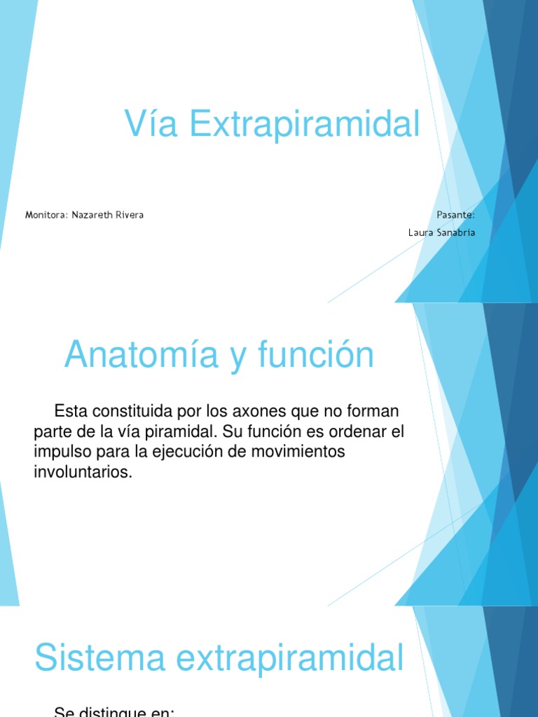 Vía Extrapiramidal | PDF | Cerebelo | Órgano (anatomía)