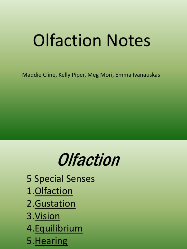 Olfaction | PDF | Olfactory System | Olfaction