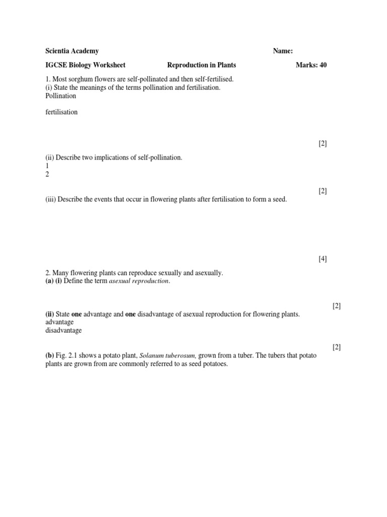 IGCSE Biology: Plant Reproduction Worksheet | PDF | Reproduction ...