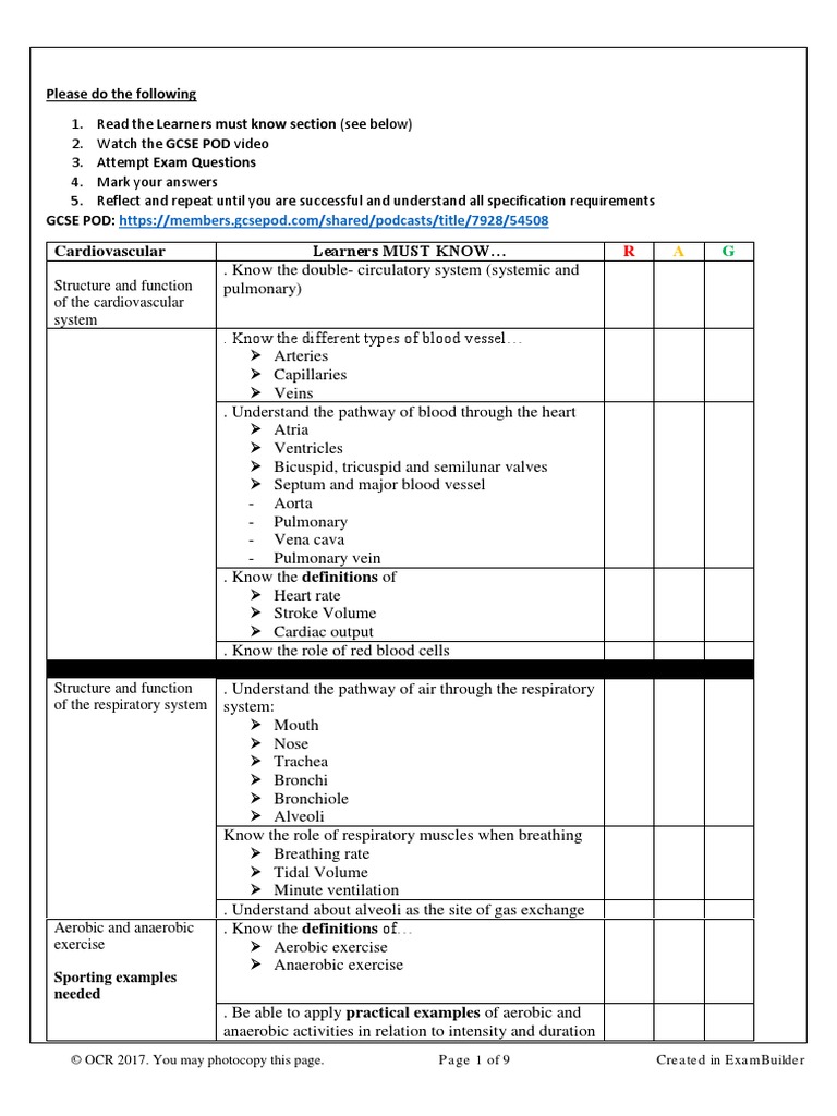 Cardiovascular and Respiratory System TEST | PDF | Heart | Circulatory ...