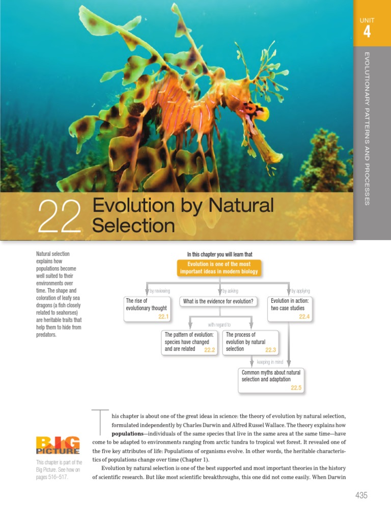 Freeman 6e Ch22 Evolution | PDF | Homology (Biology) | Evolution