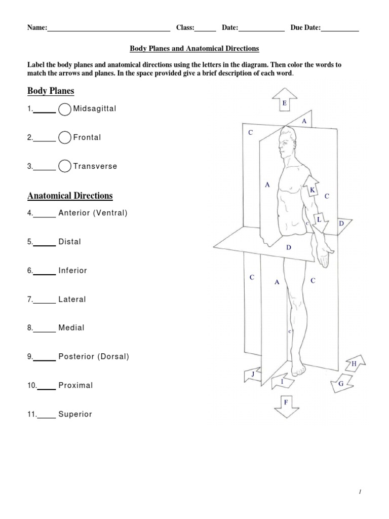 5body Planes Worksheet PDF | PDF