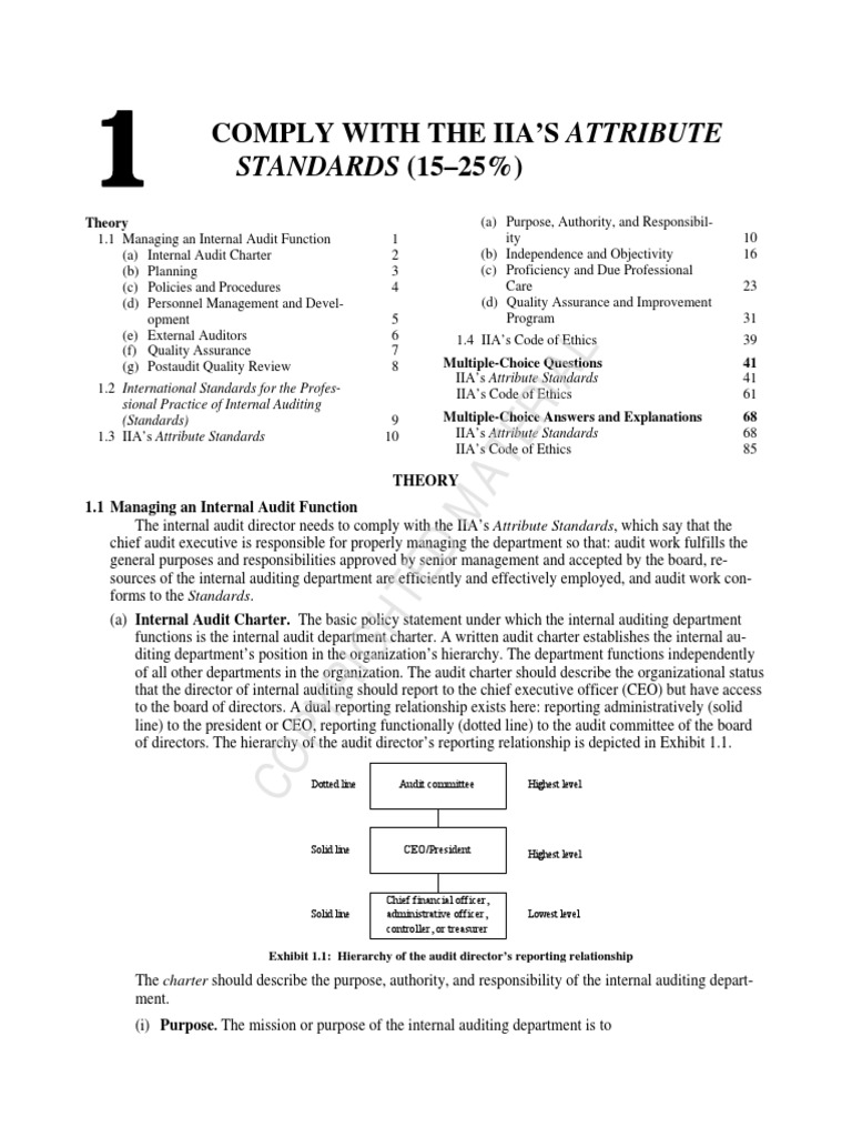 Managing an Internal Audit Function in Accordance with IIA Standards ...
