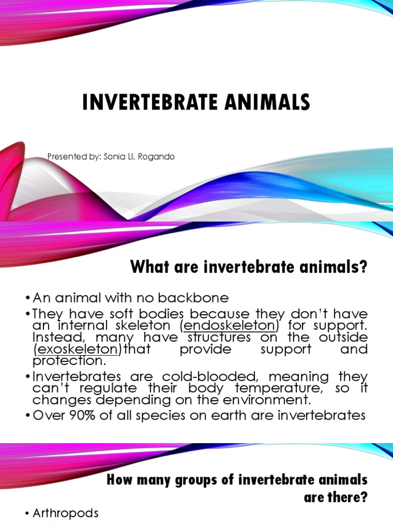 Powerpoint Invertebrate Animals | PDF | Invertebrate | Skeleton