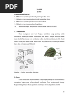 Modifikasi Daun Tumbuhan Dan Fungsinya | PDF