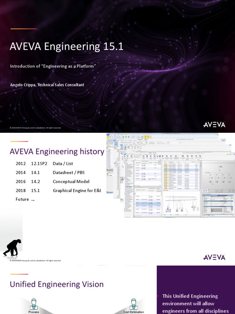 01-The AVEVA Engineering Platform - Project Data Support | PDF ...