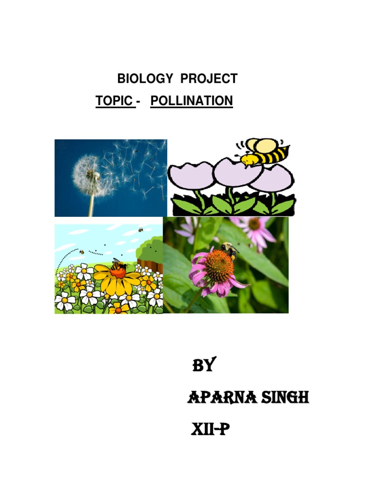 Pollination Pdf Pollinators Flowers