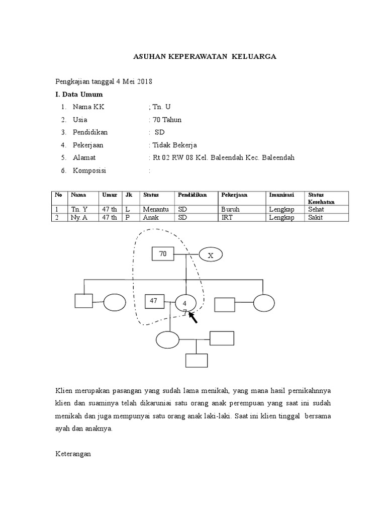 Pengkajian Keluarga Tn. U: Kesehatan dan Dinamika | PDF | Kesehatan ...
