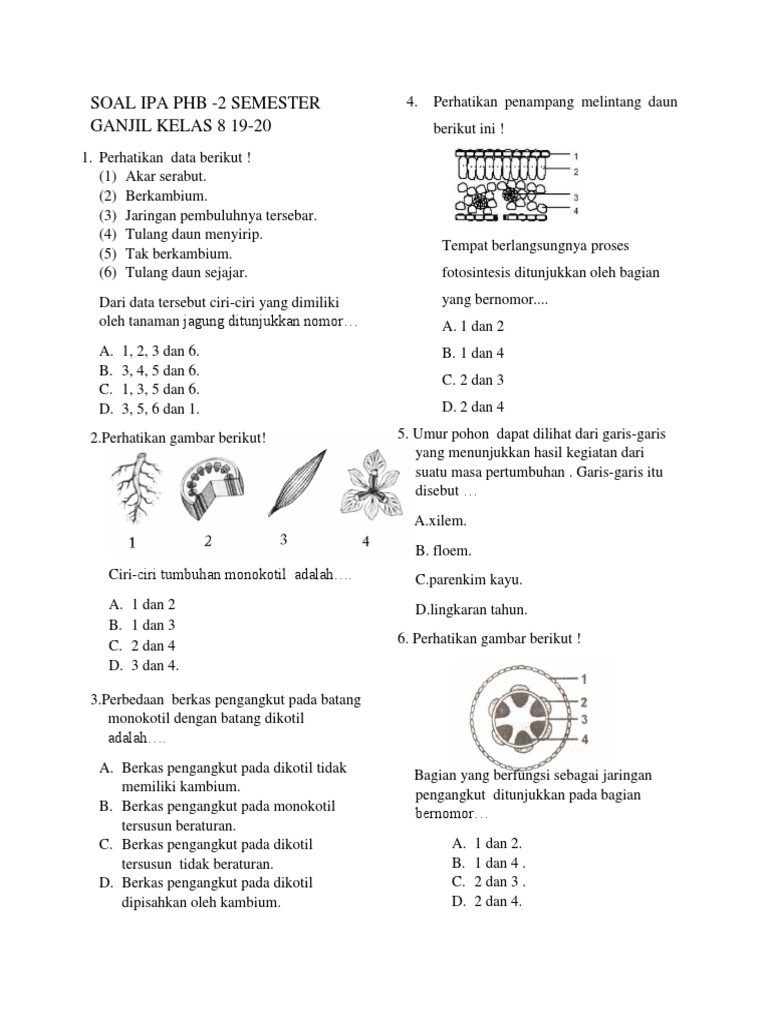Soal Ipa PHB 2 Kls 8 Ganjil 19-20 | PDF