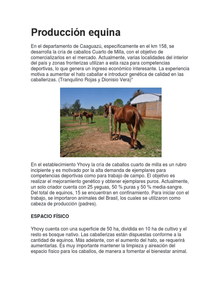 Producción Equina | PDF | Caballos | Nutrición