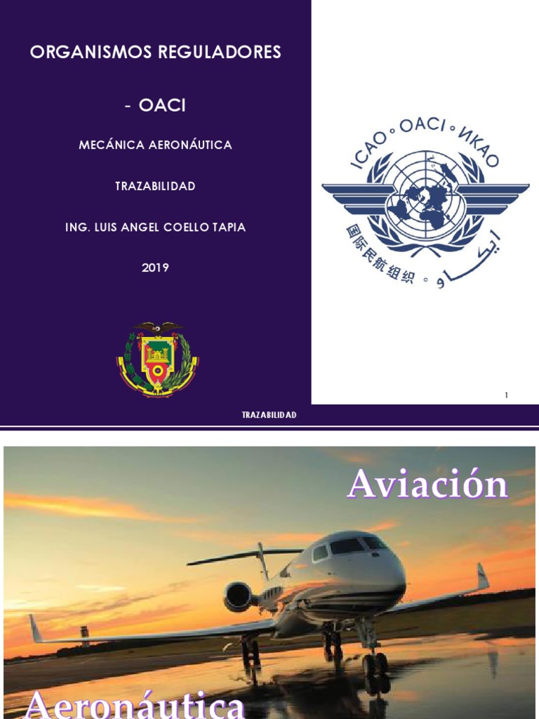 Oaci | PDF | Aviación