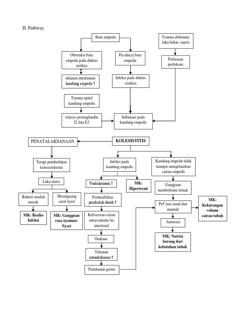 Baru WOC Kolesistitis | PDF
