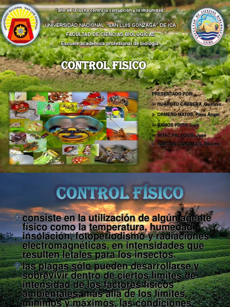 Control Fisico | PDF | Insectos | Plaga (organismo)