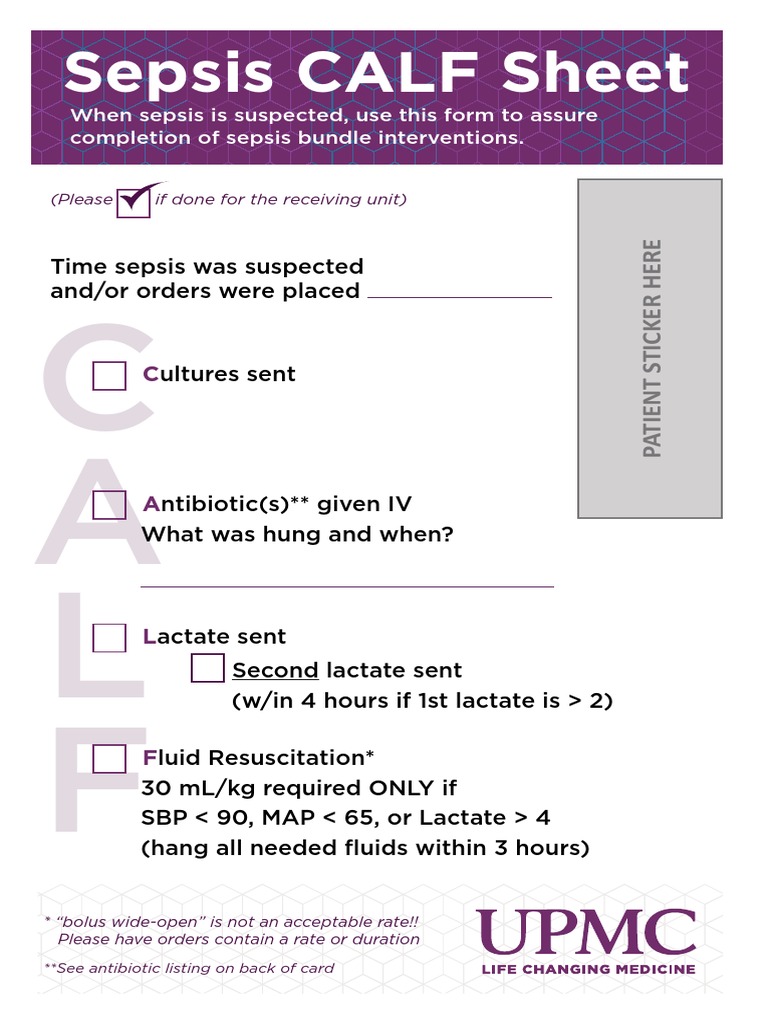 Calf Sheet Sepsis Guideline | PDF