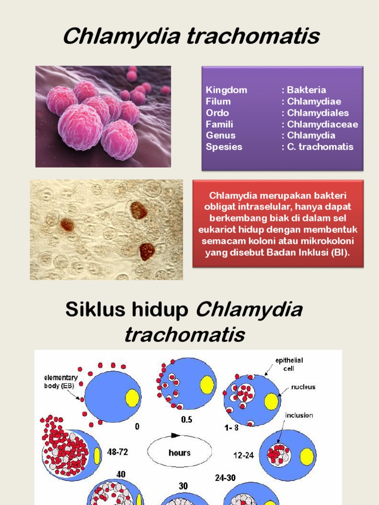 Chlamydia | PDF