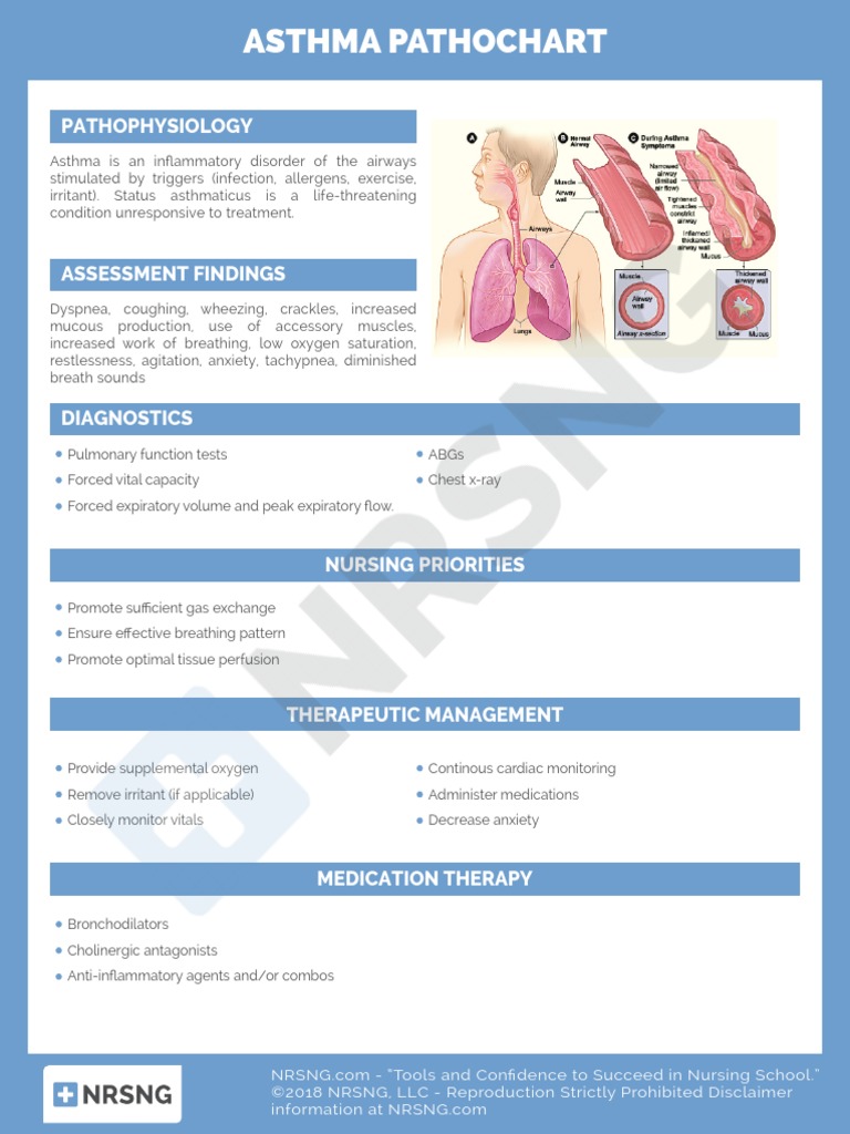 Cs Resp 003 Asthma Patho Chart