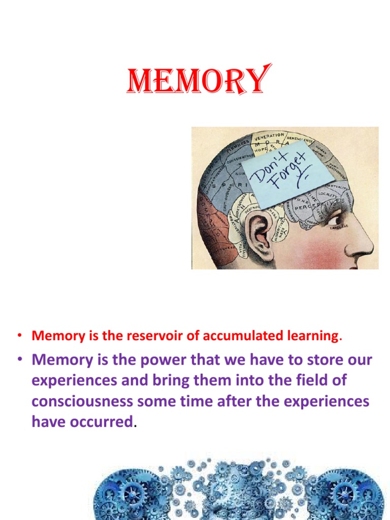 Memory | PDF | Amnesia | Memory