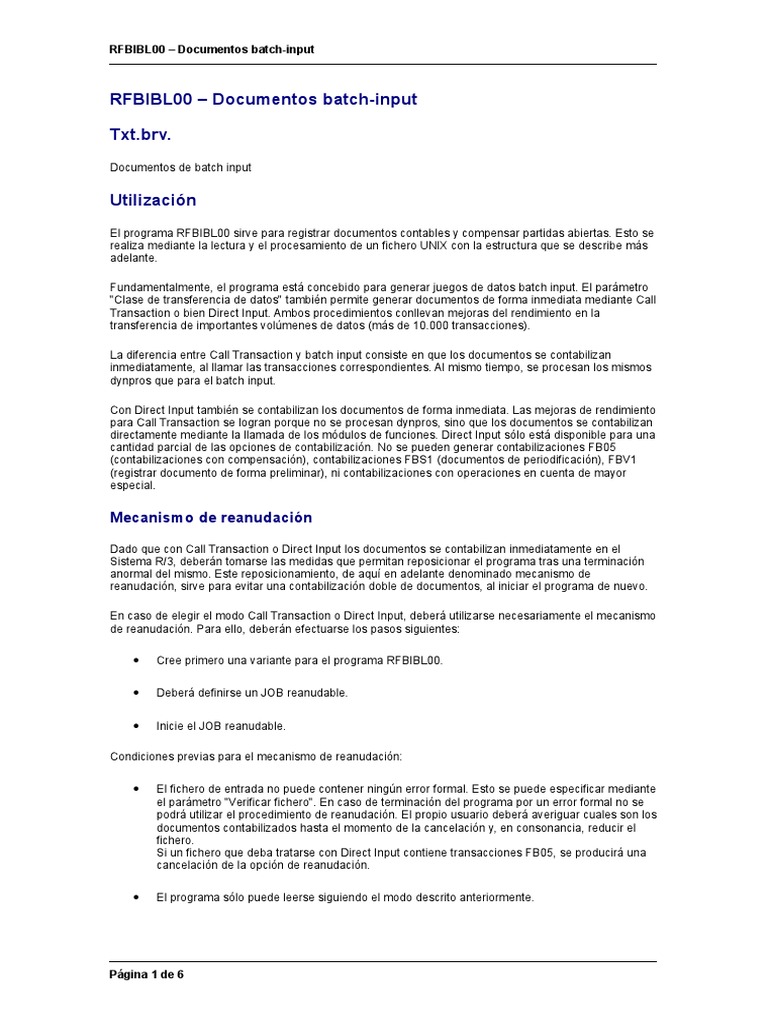 RFBIBL00: Documentos Batch Input | PDF | Archivo de computadora ...