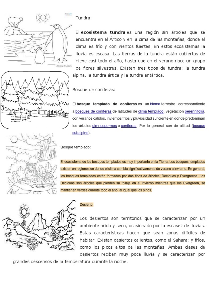 Tundra | PDF | Selva | Desierto