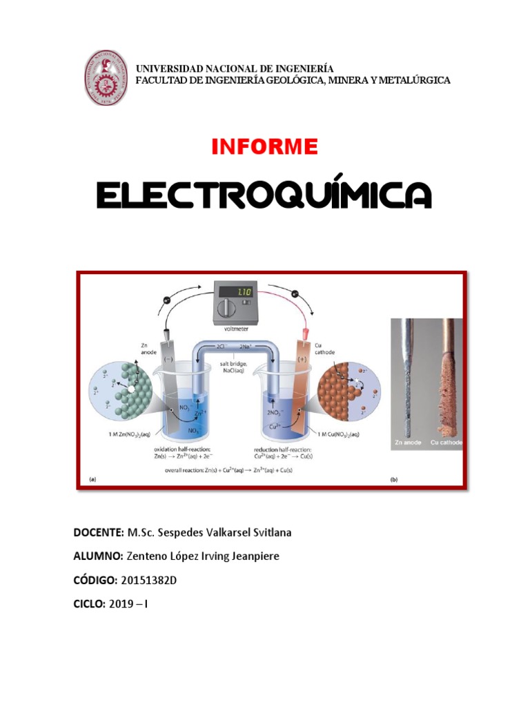 Electroquimica Informe | Descargar gratis PDF | Redox | Corrosión