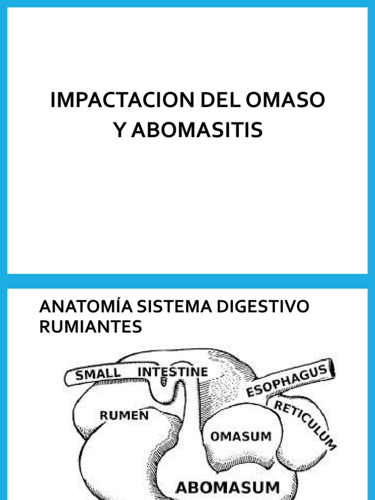 CLASE 14 Impactacion Omaso y Abomasitis | PDF | Diarrea | Agua