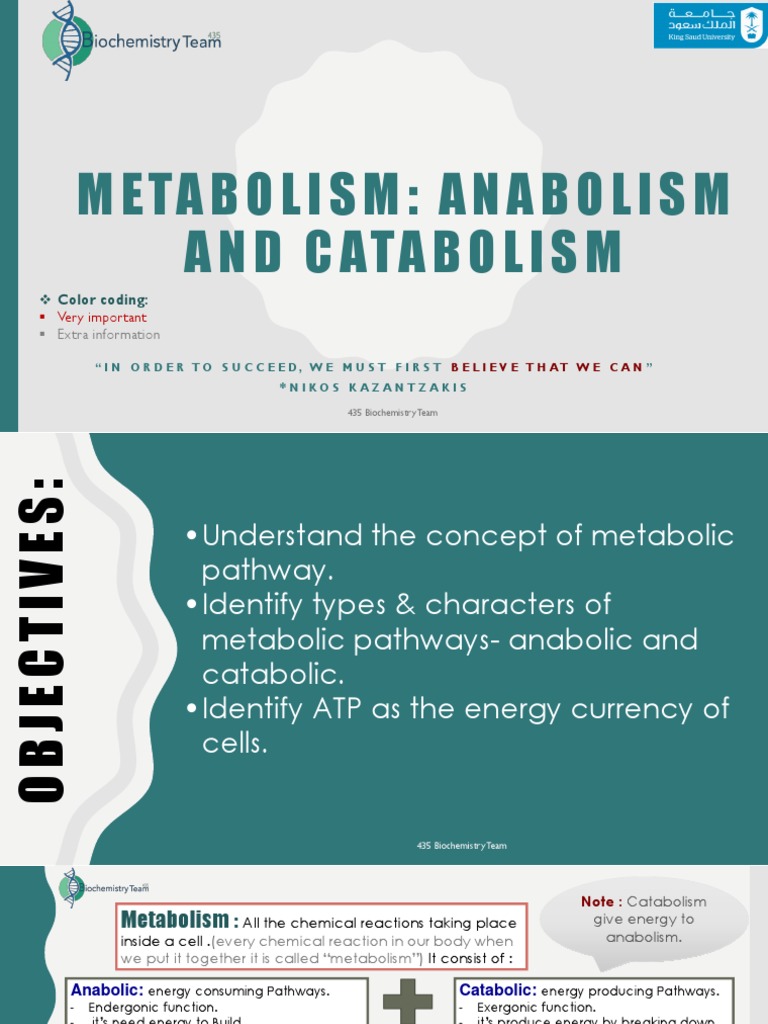 Regulation of Metabolism: Understanding How Cells Control Their ...