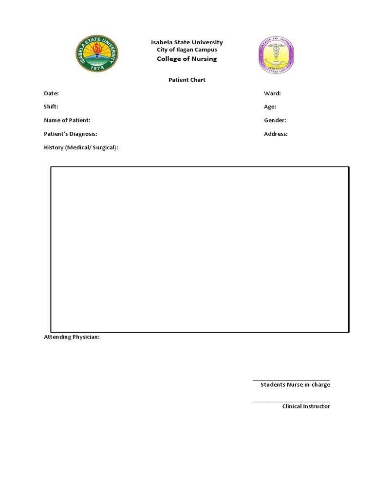 Nursing Student Patient Chart | PDF | Medical Specialties | Health Sciences
