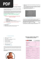 Guia de Tped | PDF | Evaluación | Comportamiento