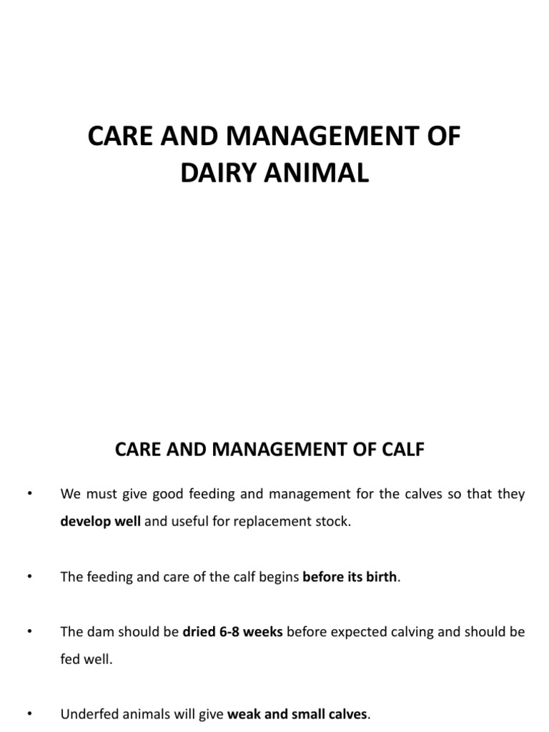 Lpm Care And Management Of Calf Heifer Milch Animal Dry And