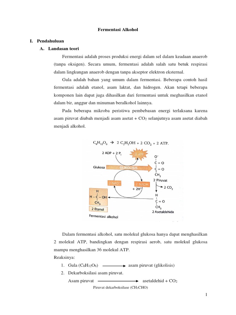 Proses dan Hasil Fermentasi Alkohol | PDF | Sains & Matematika